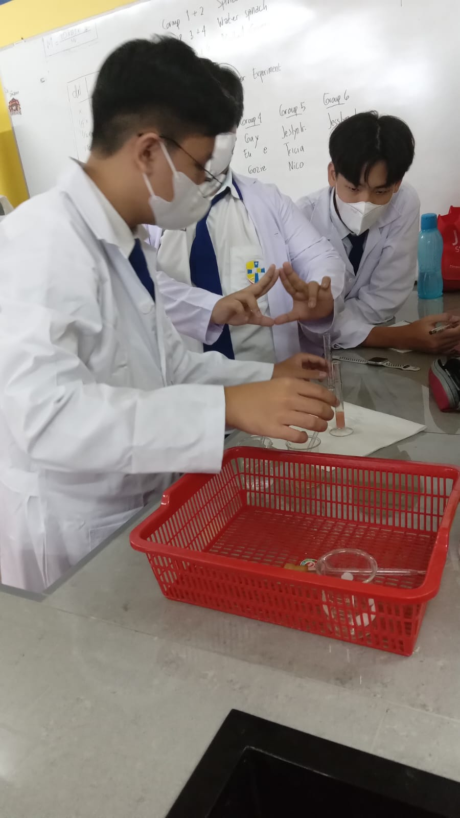 Be More Analytical Through IB DP Biology - Stella Maris